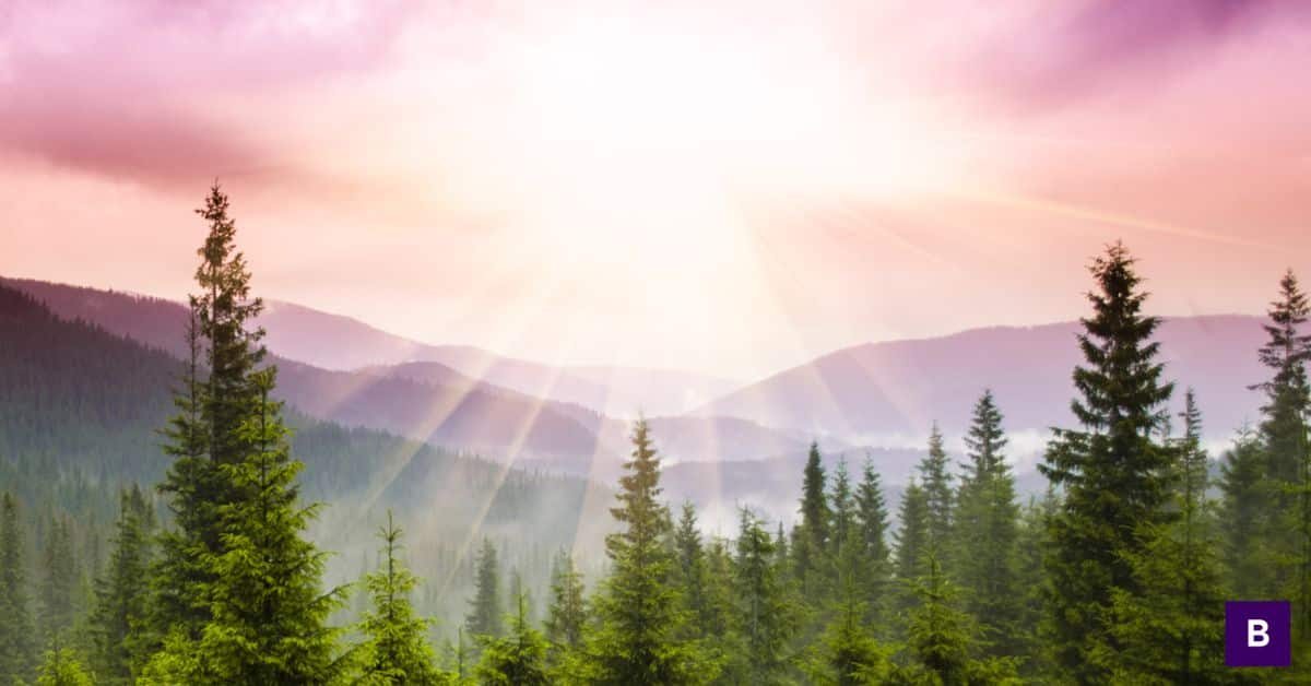 3 Ways for How to Connect with Your Soul & Purpose