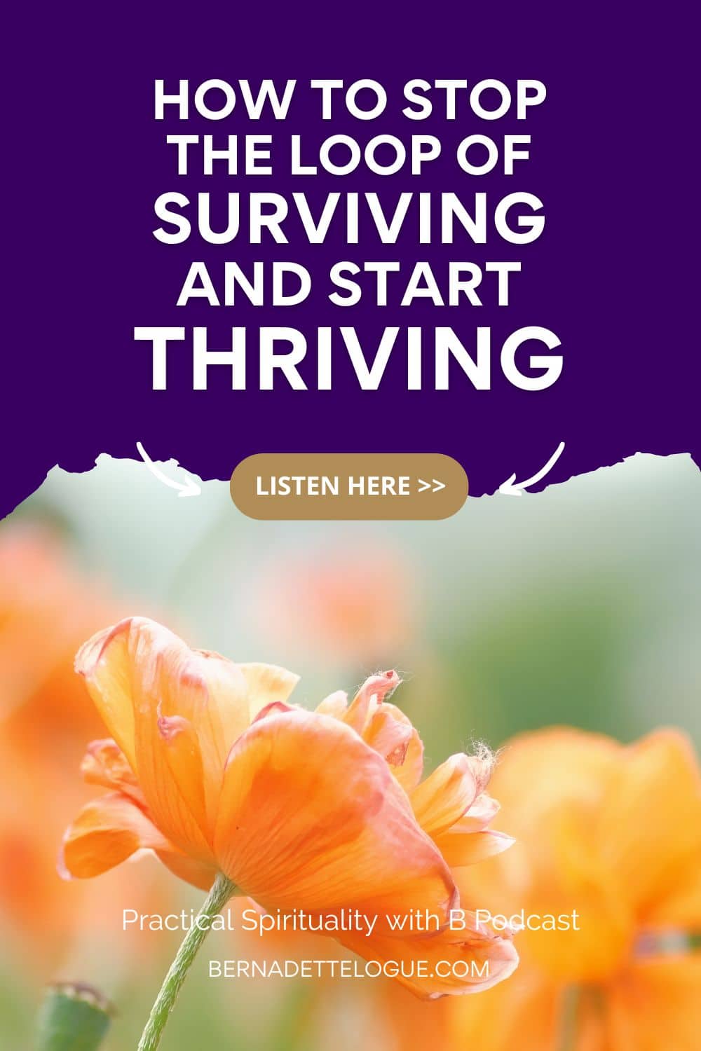 How to Stop the Loop of Surviving & Start Thriving