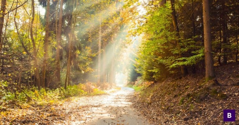 How to Trust Yourself & Have Courage to Follow Your Own Path